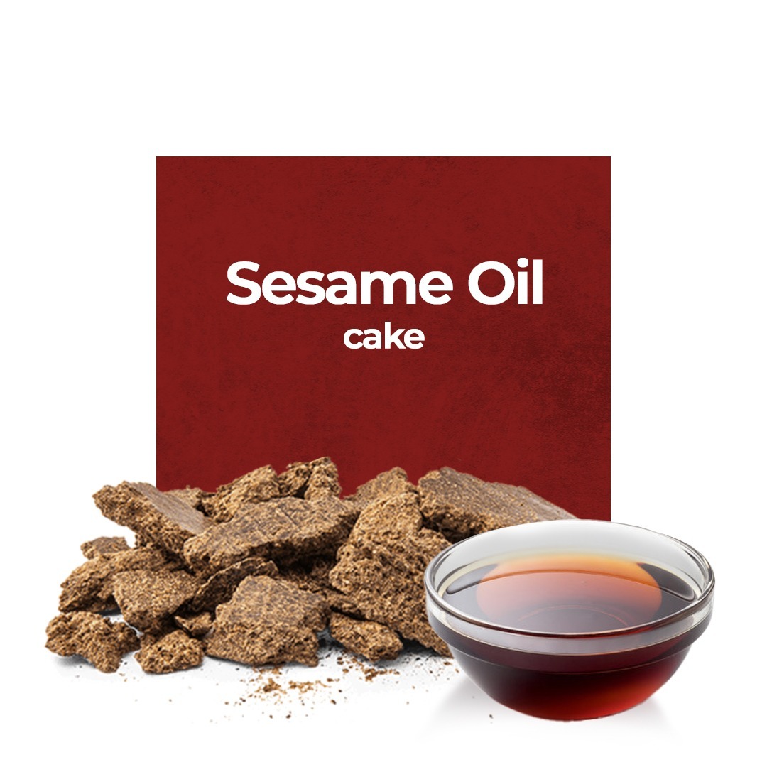 SESAME OIL CAKE/MEAL: THE ULTIMATE GUIDE ON IMPORATION/EXPORT FROM ...