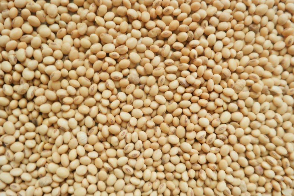 Top 10 Industrial and Nutritional Uses of Soya Beans and How We Meet ...