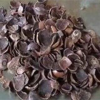Avoiding Common Shea Nut Shell Export Pitfalls: A Guide for ...