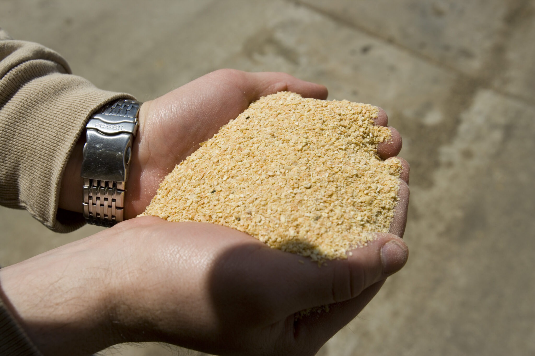 Exporting Soya Bean Meal from Nigeria: A Complete Buyer’s Guide ...